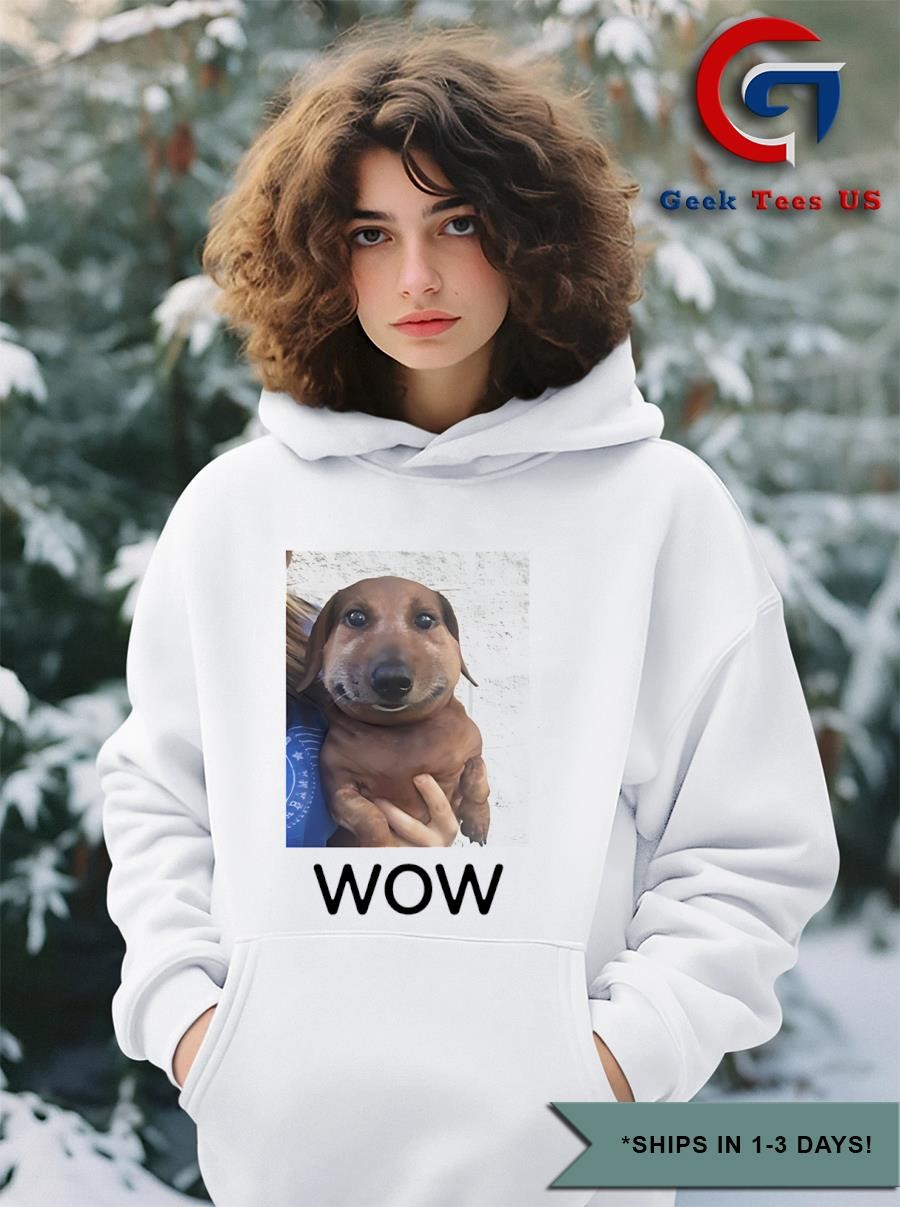 Dog Meme Wow